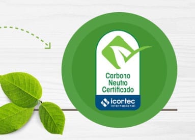 NEW LINE OF OAT FROM OUR TOSH BRAND - Noel Corporativo